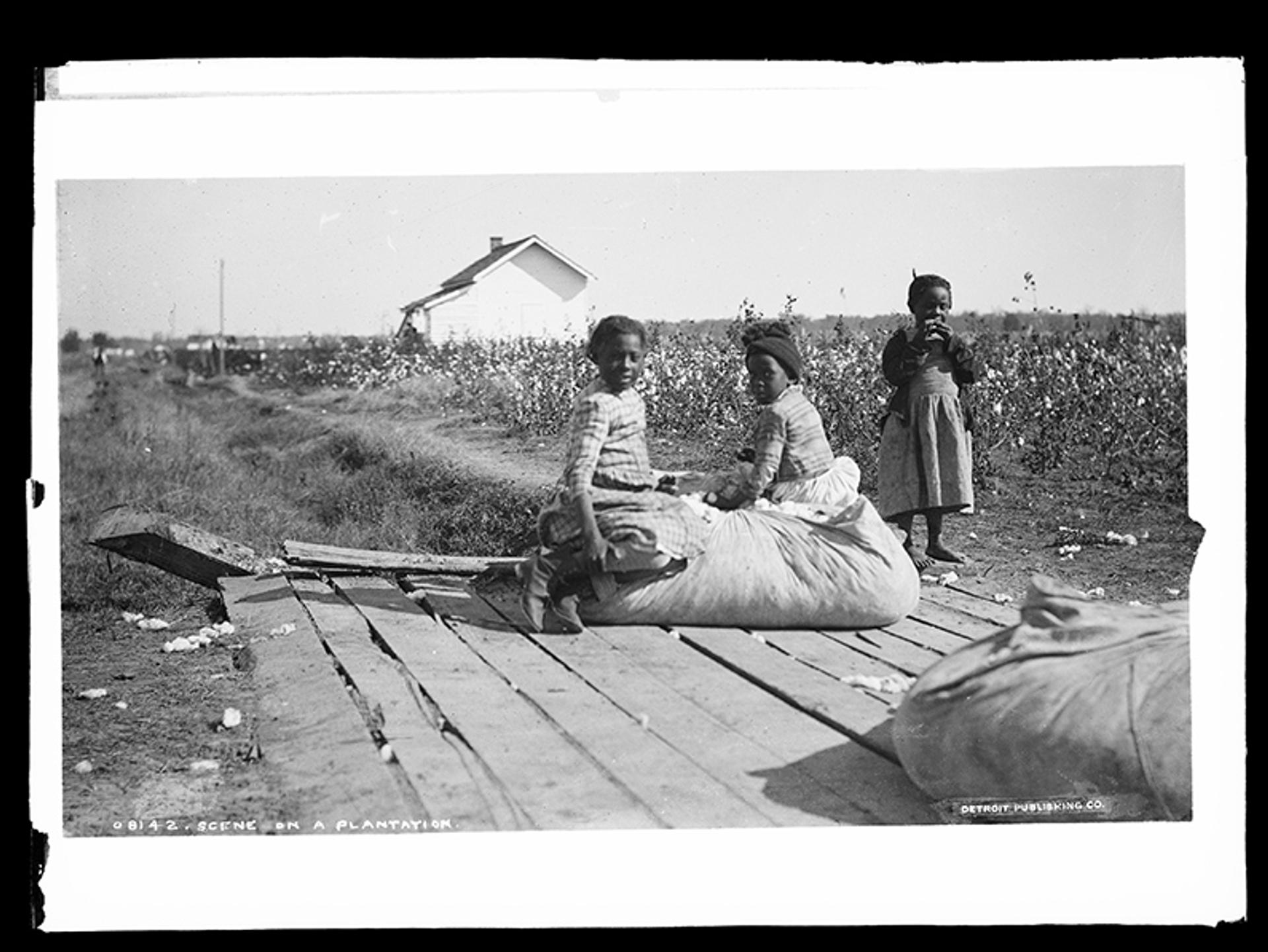 Capitalism and (under)development in the American South | Aeon Essays