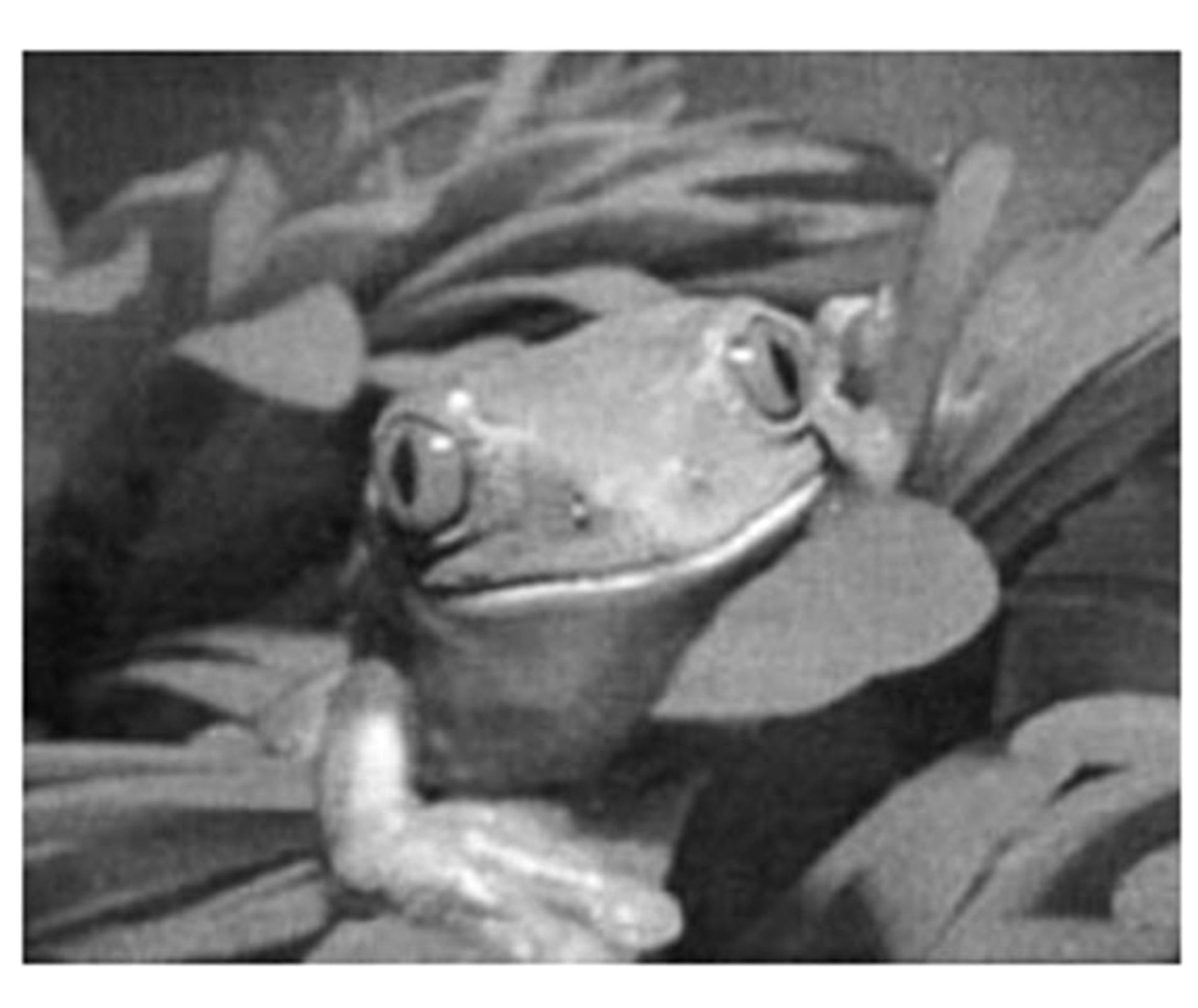 The surprising role of deep thinking in conspiracy theories | Psyche Ideas