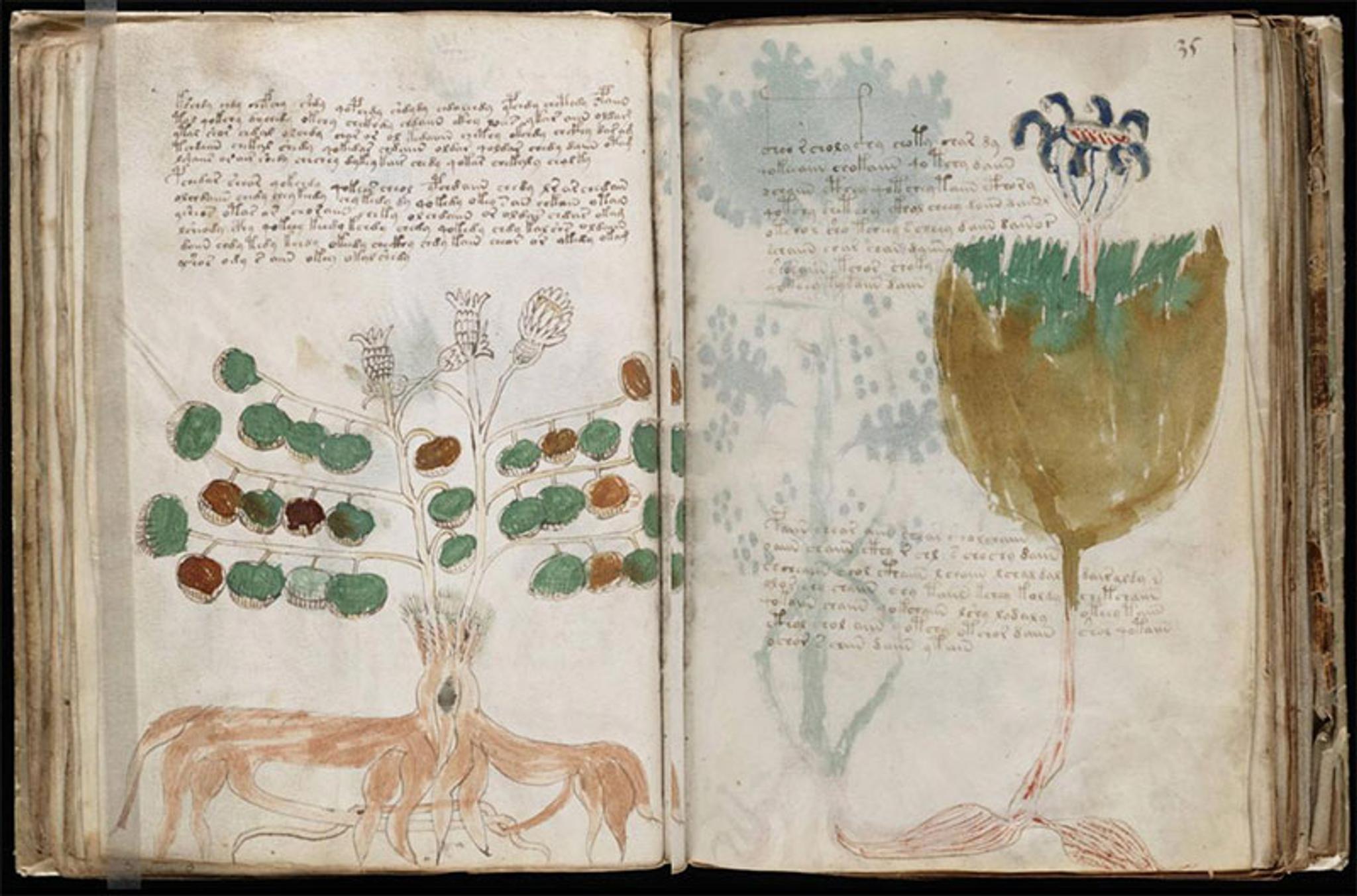 What it takes to be a glyph-breaker deciphering ancient languages ...