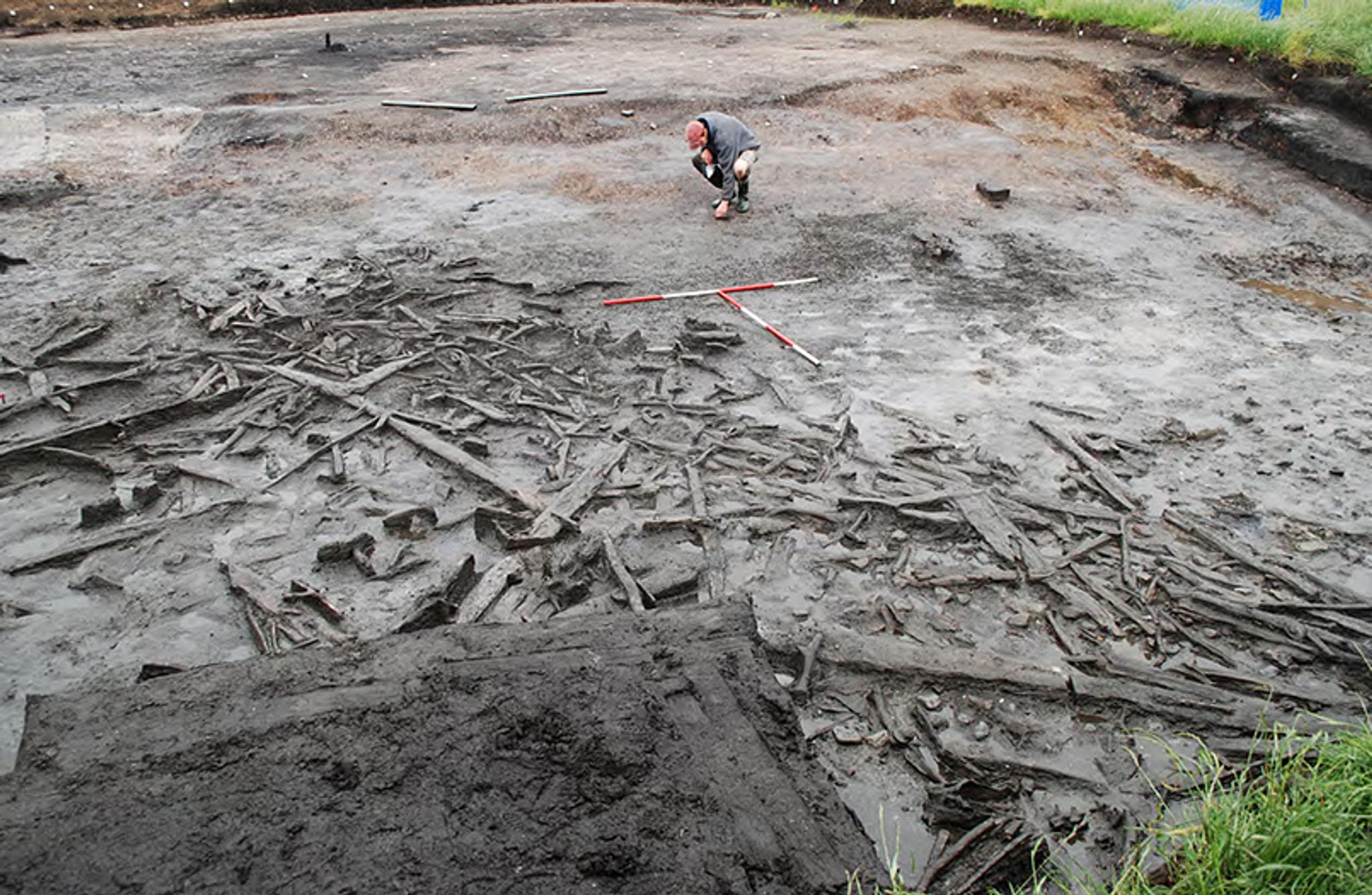 Did animals provide the blueprints for human culture? | Aeon Essays
