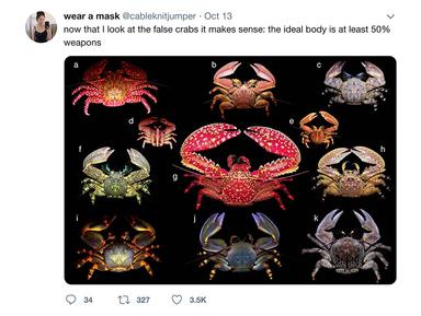 Are humans destined to evolve into crabs? | Aeon Essays