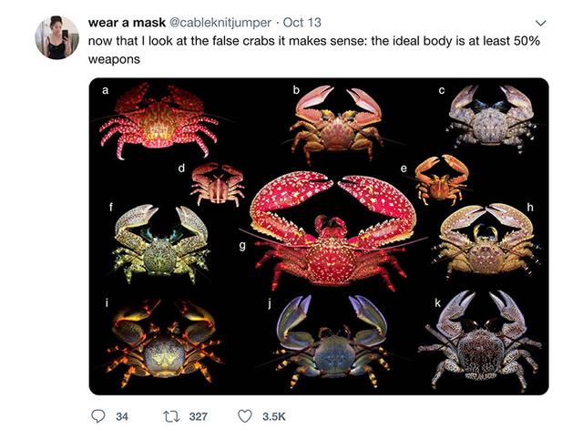 Are humans destined to evolve into crabs? | Aeon Essays