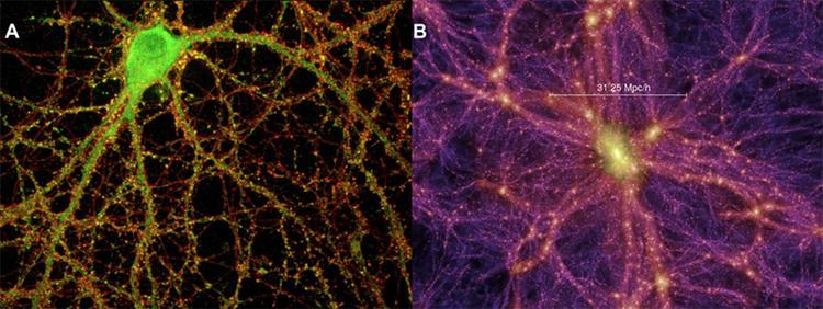 How to see the ‘cosmic web’ here on Earth | Aeon Essays