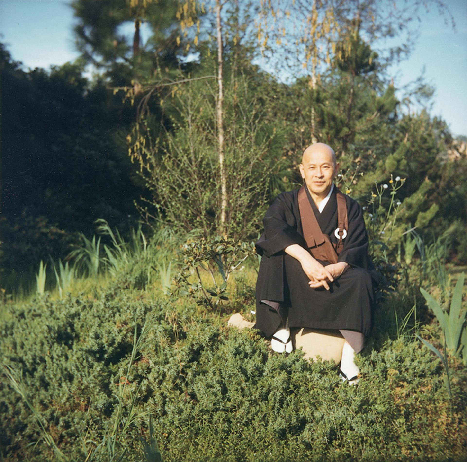 Let me tell you about my journey through 35 years of Zen practice ...
