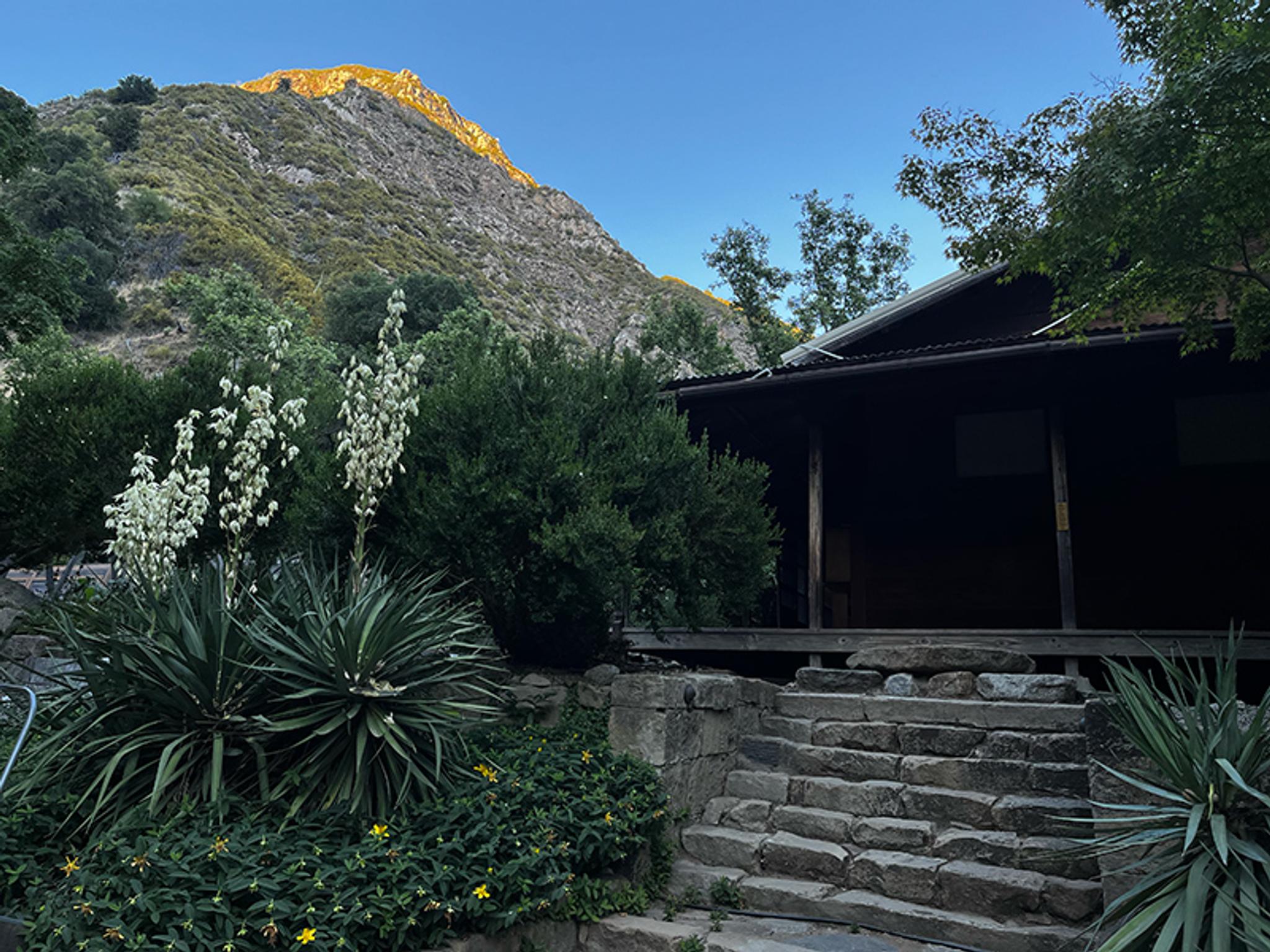 Let me tell you about my journey through 35 years of Zen practice ...