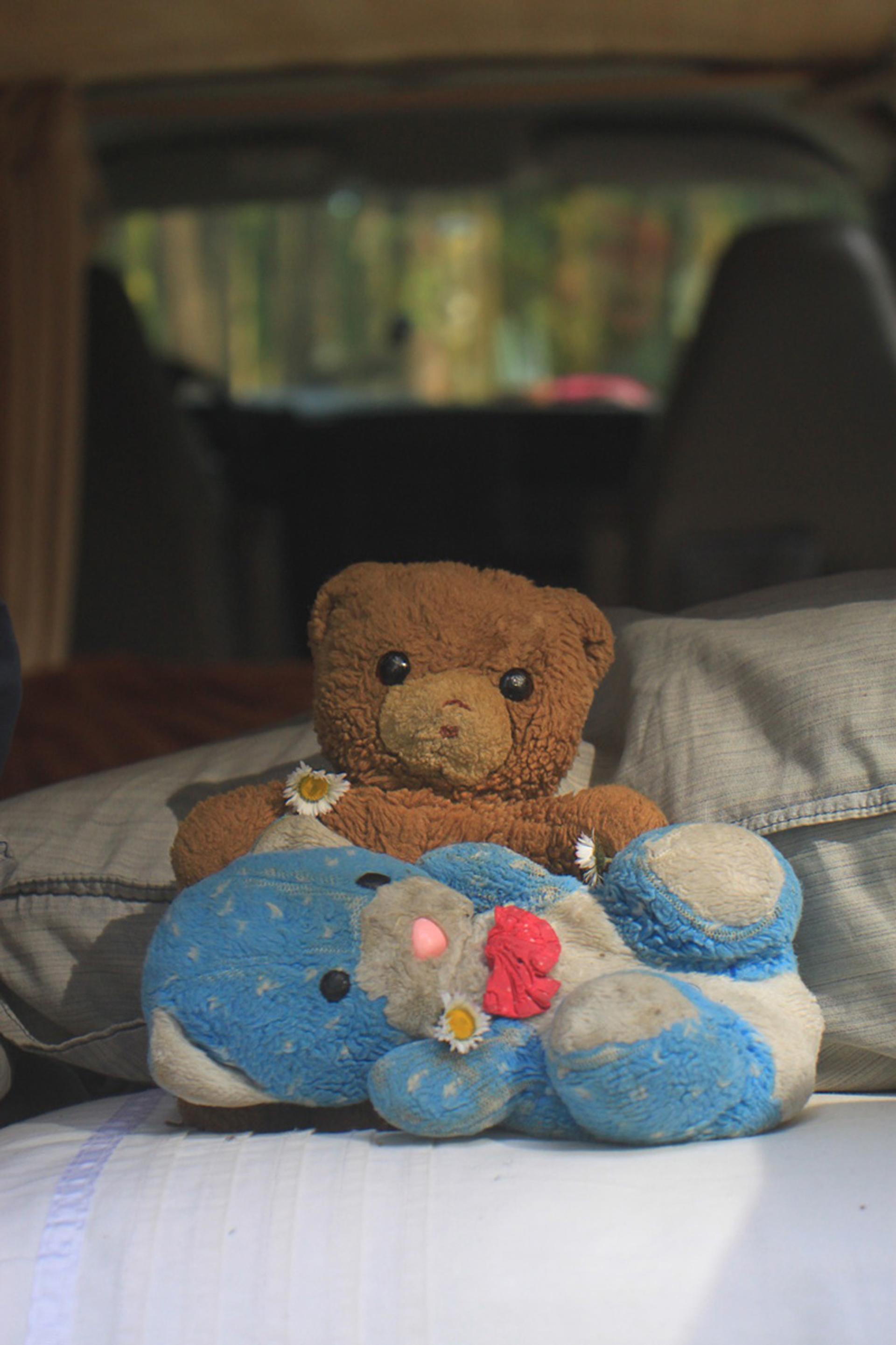 Yes, I hang out with teddy bears. And yes, I am a grown man | Psyche ...